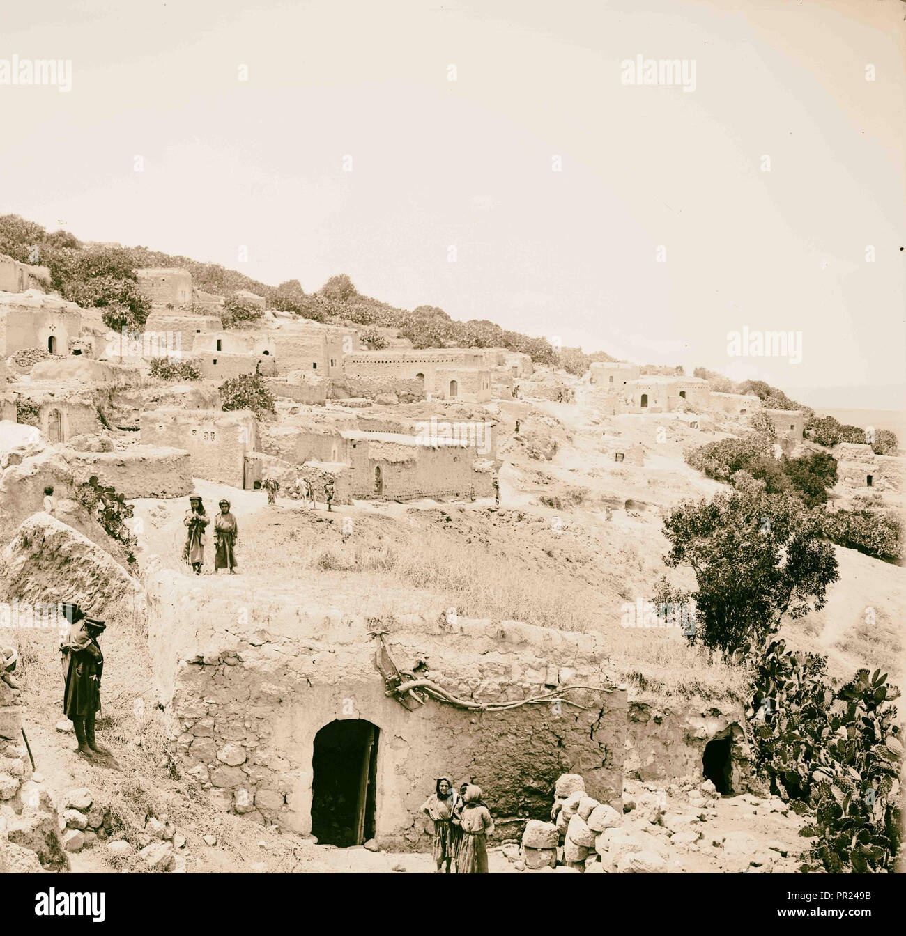 Endor hi-res stock photography and images - Alamy