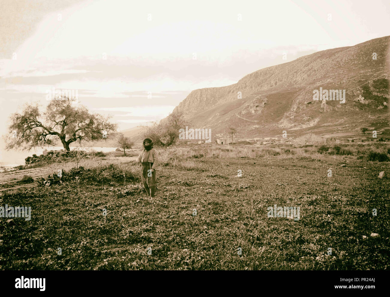 Magdala migdal hi-res stock photography and images - Alamy