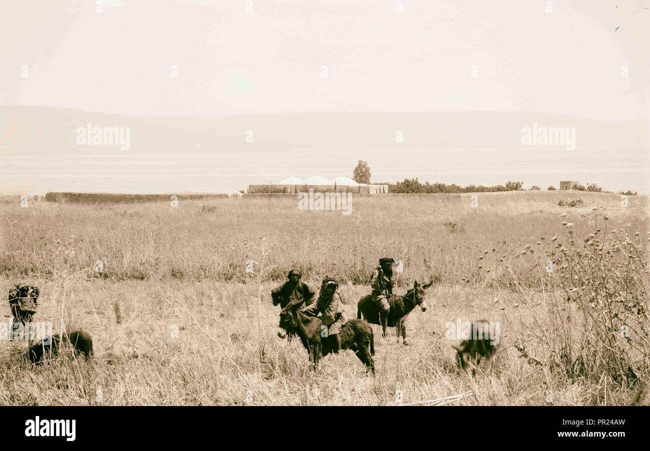 Northern views. Capernaum (Tell Hum). 1898, Israel, Capernaum, Extinct ...