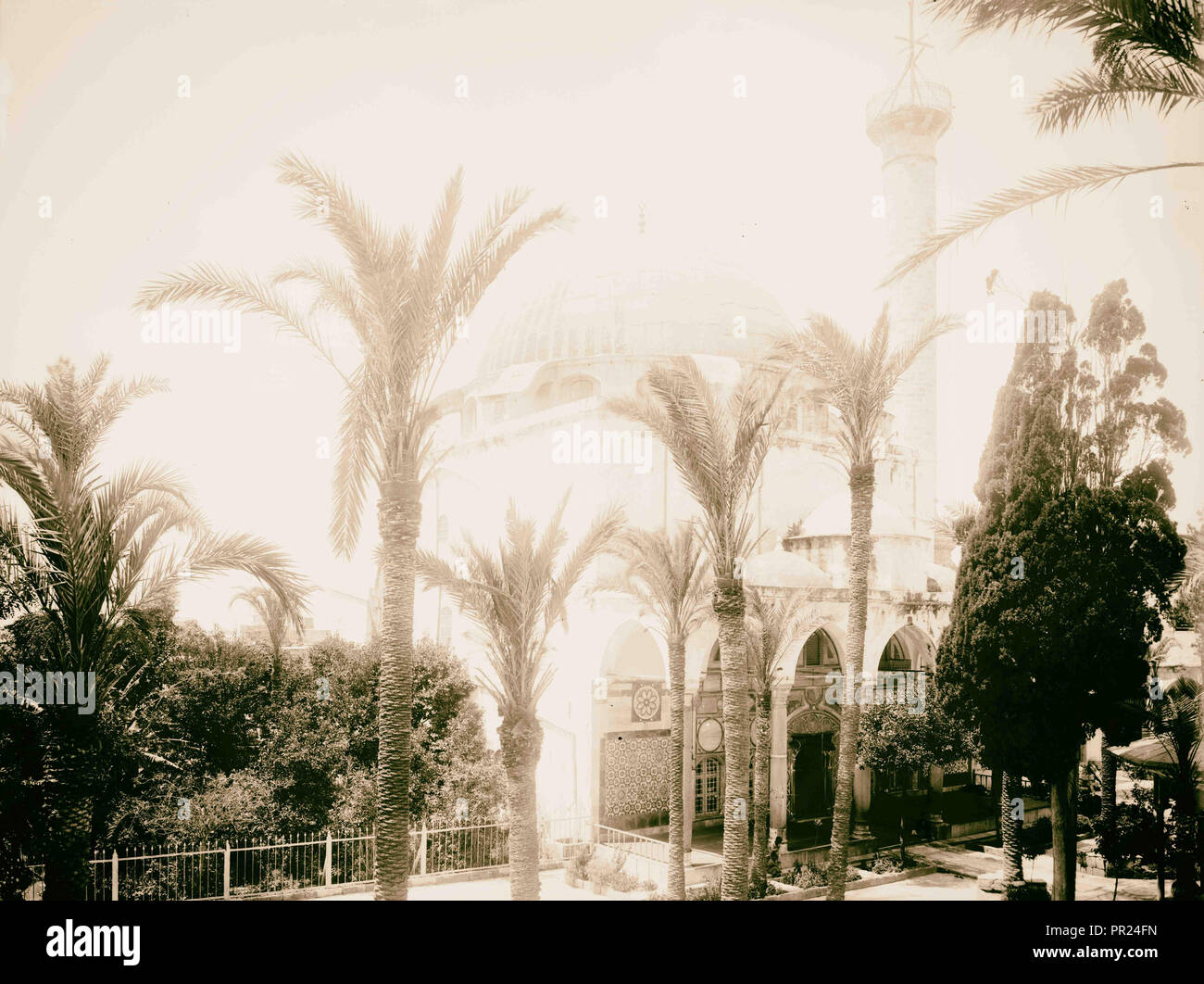 Jezzar Pasha's Mosque, Akka American Colony, Jerusalem. 1898, Palms ...