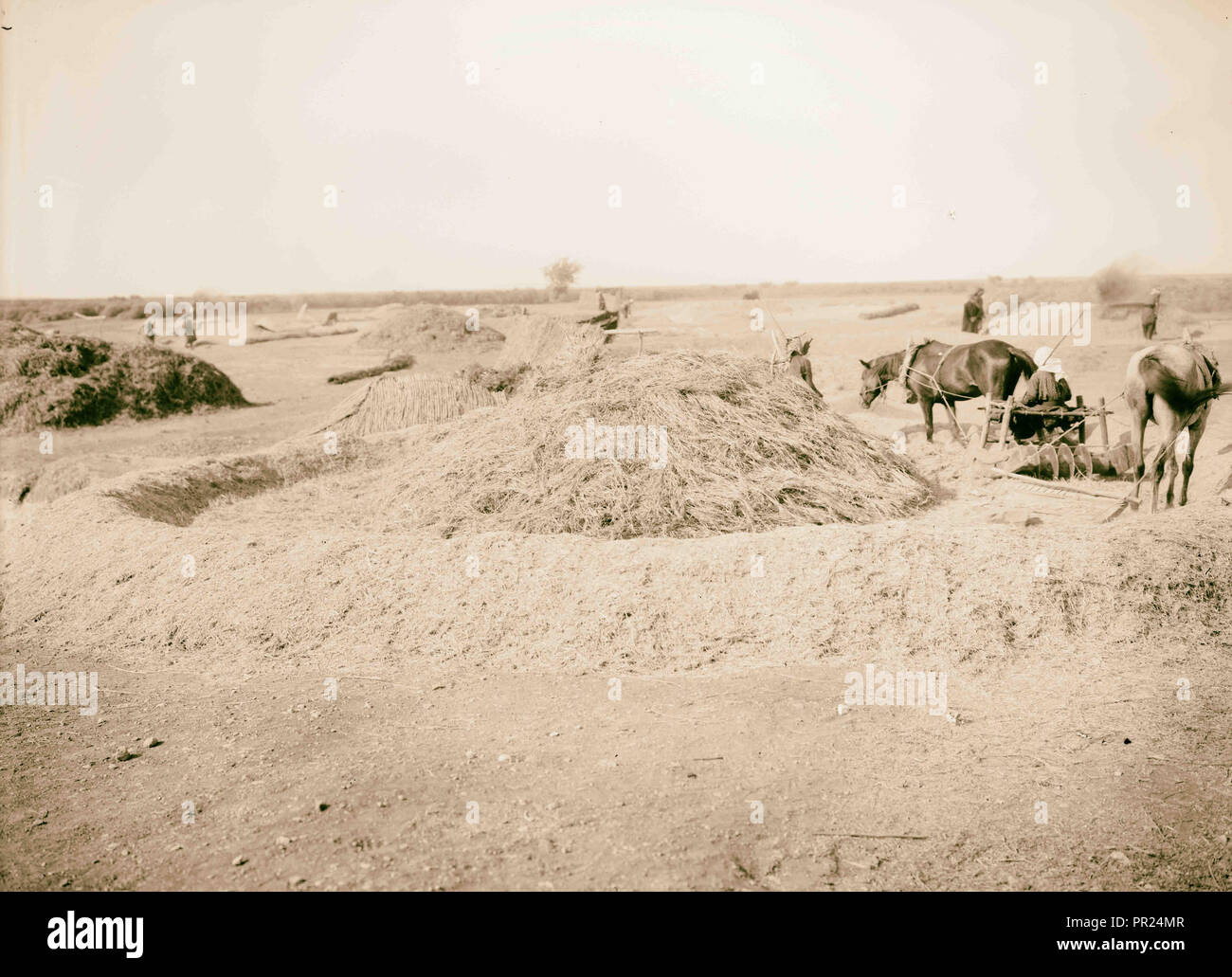 Threshing floor hi-res stock photography and images - Alamy