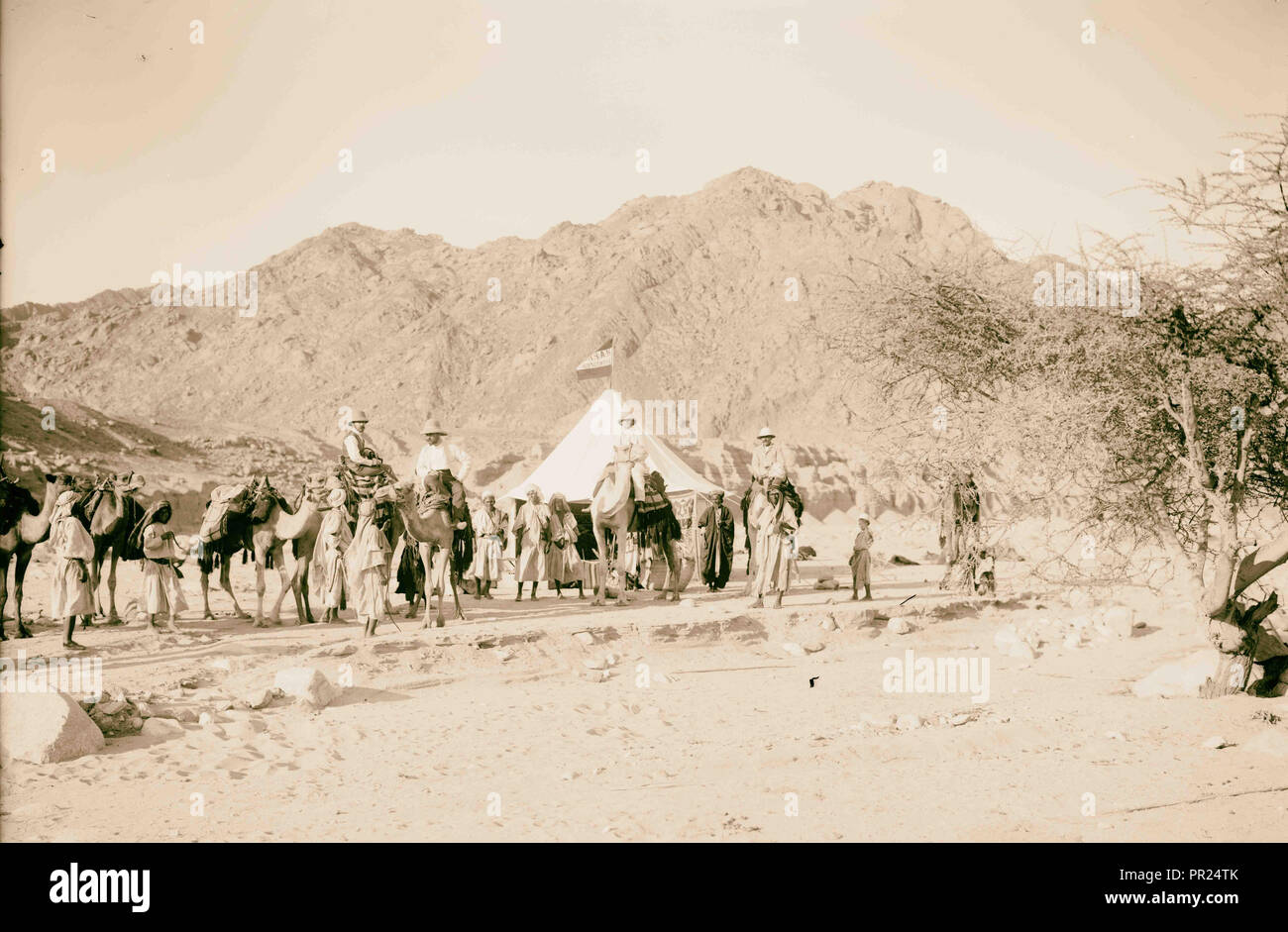 American Colony Photo Dept. expedition camp in the Sinai, Lewis Larsson ...
