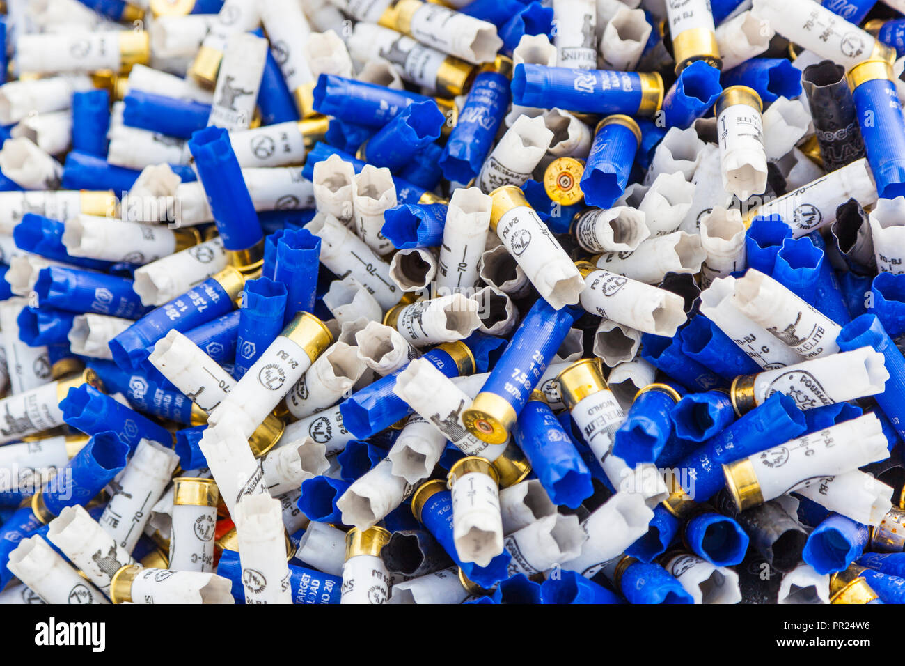 Shotgun Shells Wallpaper