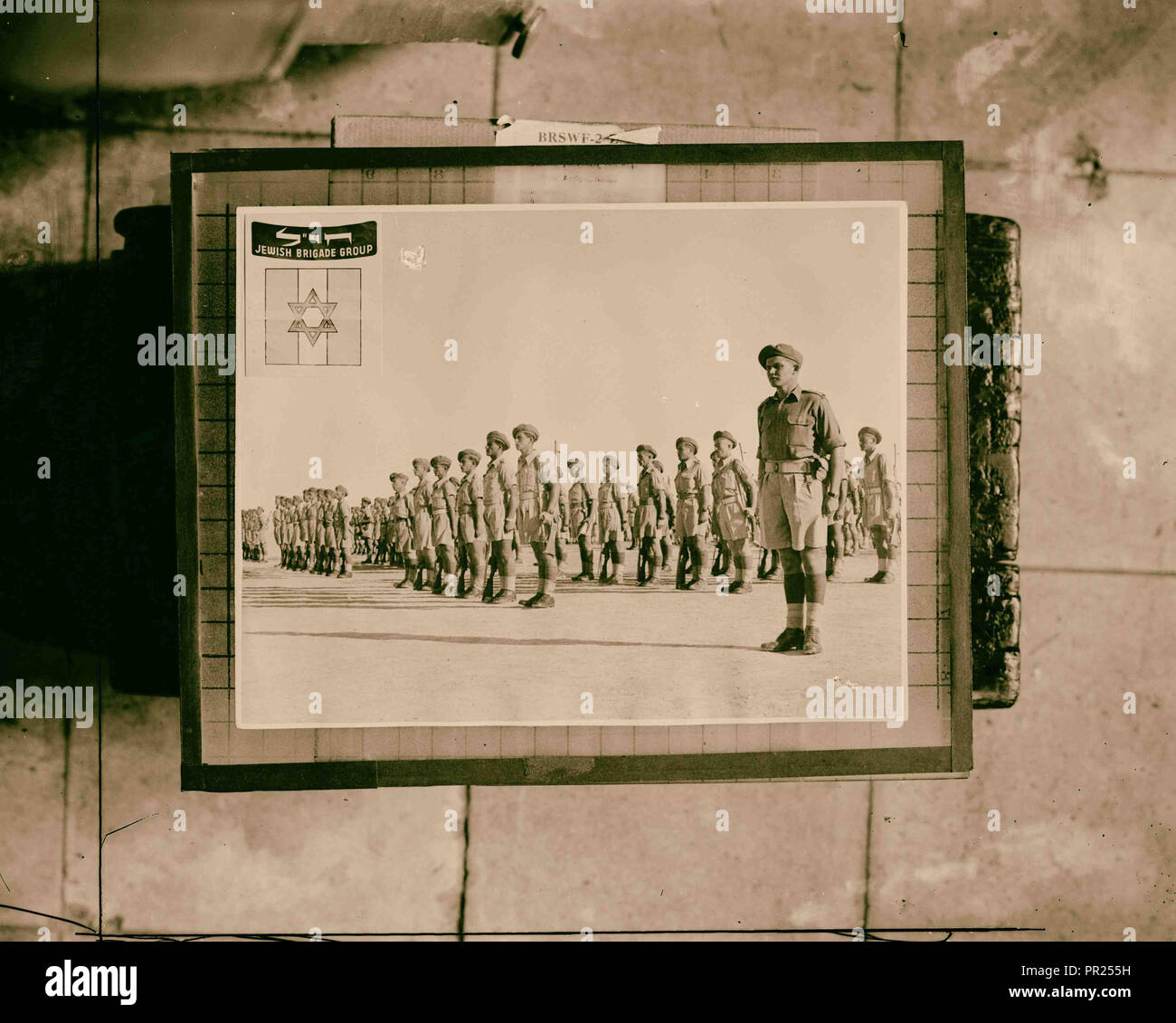Jewish brigade recruitment 1944, Middle East, Israel Stock Photo - Alamy