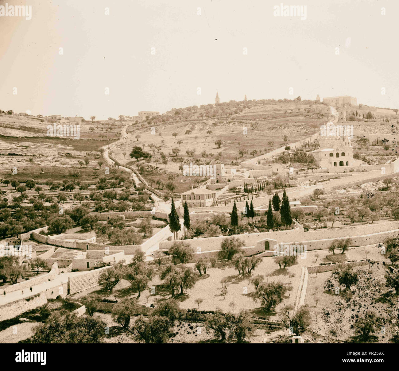 Mount of Olives (Jebel Et-Tur) Mount of Olives from the west. 1898 ...