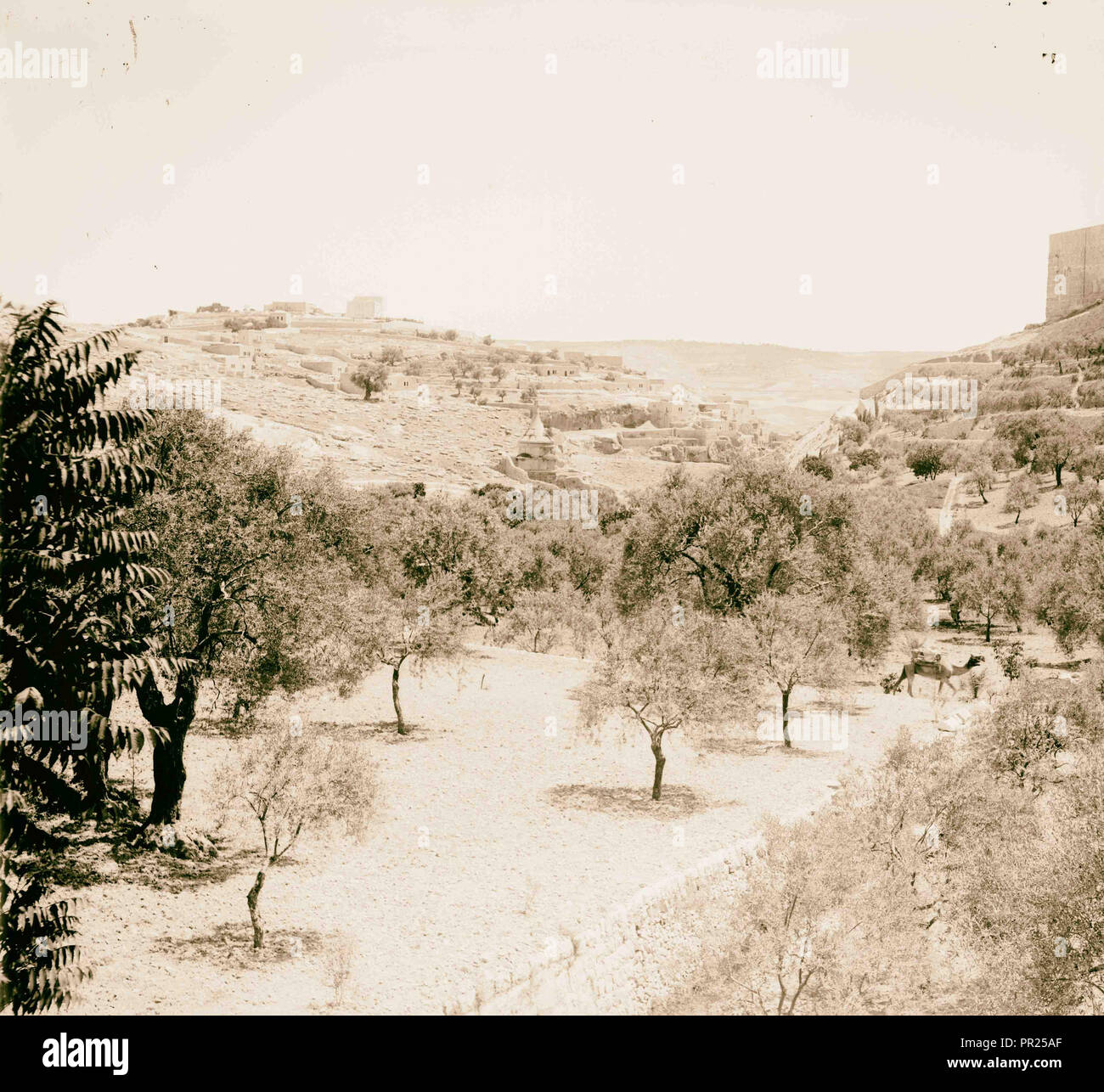 Mount of Olives (Jebel Et-Tur) Valley of Jehosaphat. 1898, Jerusalem ...