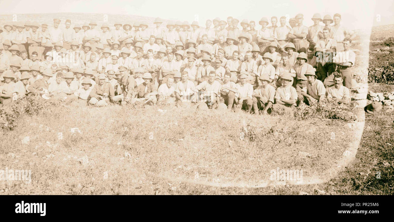 Battery of the 53rd division, 1918, Middle East, Israel and/or ...