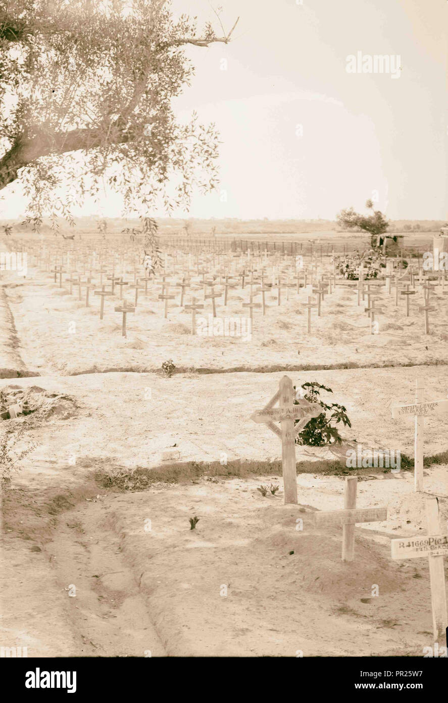 Gaza 1917 hi-res stock photography and images - Alamy