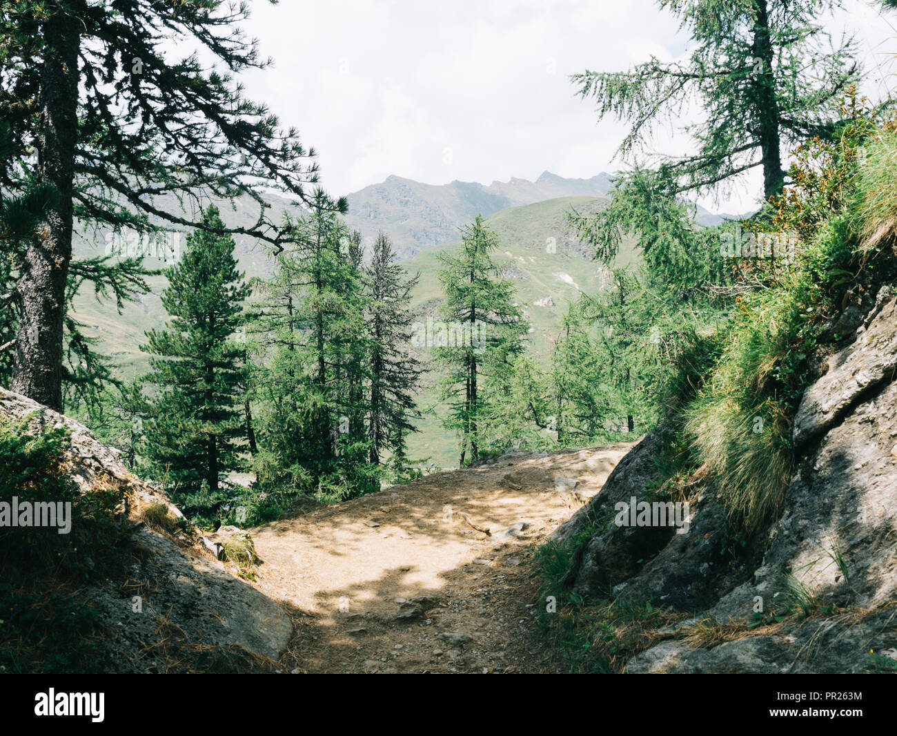 Track pathway hi-res stock photography and images - Alamy