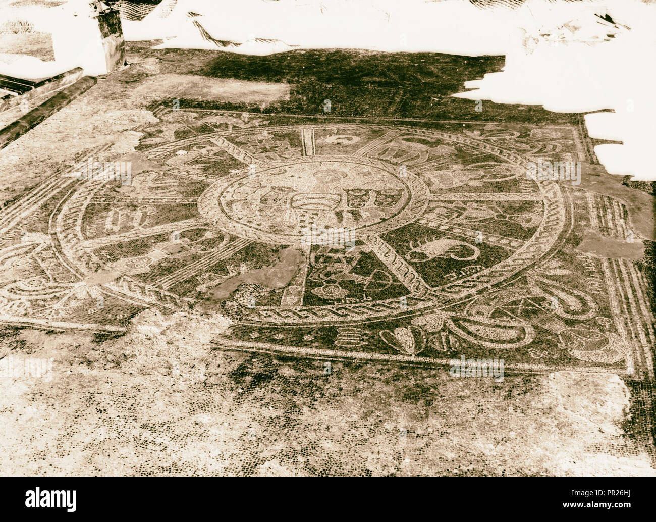Mosaics at Beth Alfa on Plain of Esdraelon. 1898, Israel, Ḥeftsi Bah ...