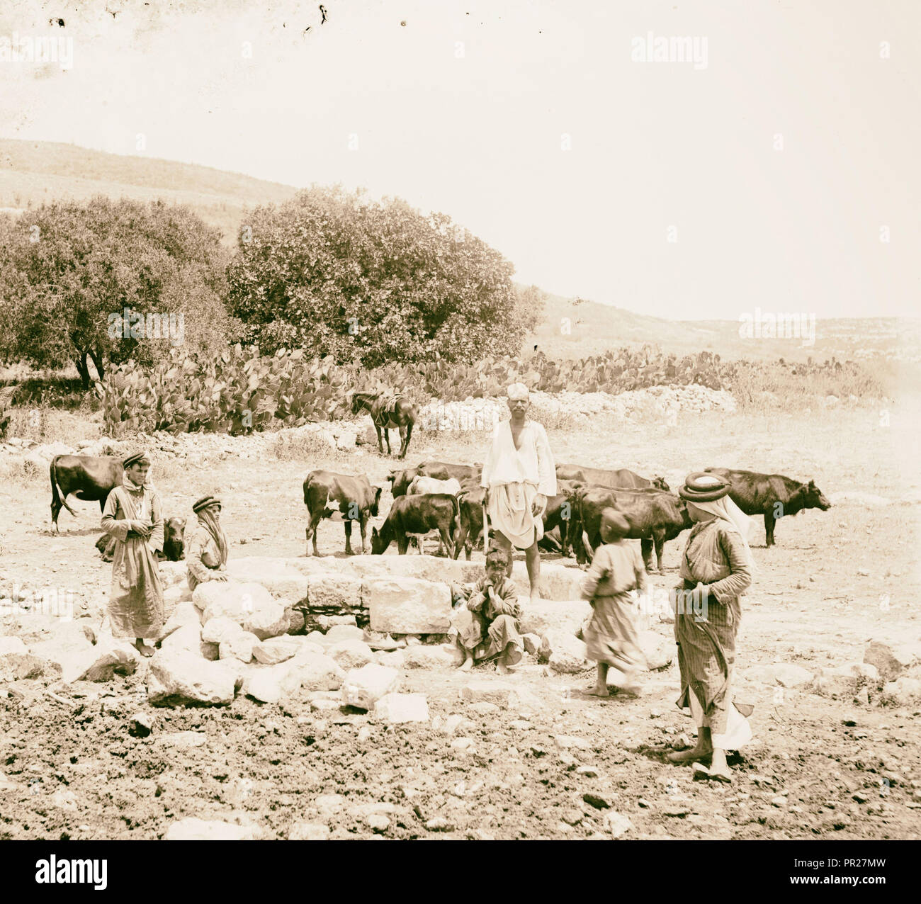 Joseph's Well, Dothan. 1898, Middle East, Israel and/or Palestine Stock ...