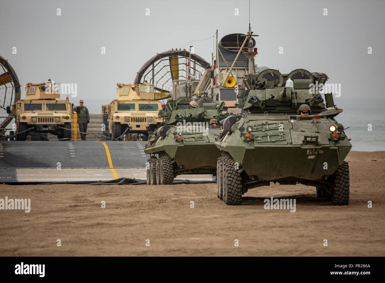 1st light armored reconnaissance battalion hi-res stock photography and ...