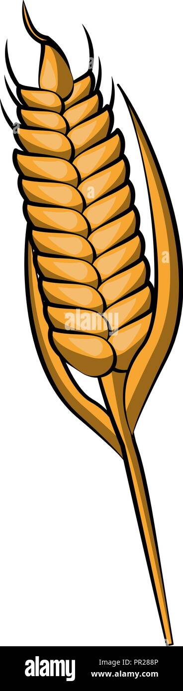 Wheat isolated cartoon Stock Vector Image & Art - Alamy