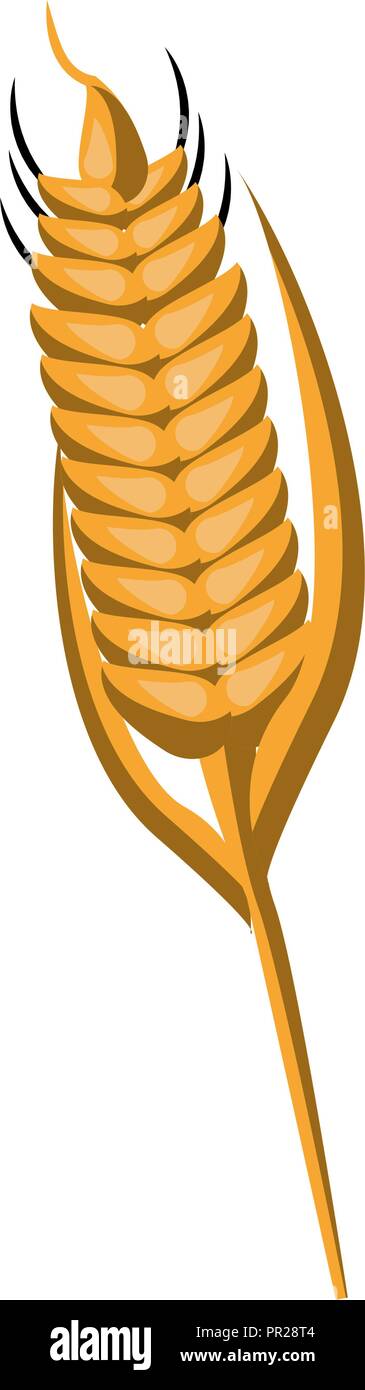 Wheat isolated cartoon Stock Vector Image & Art - Alamy