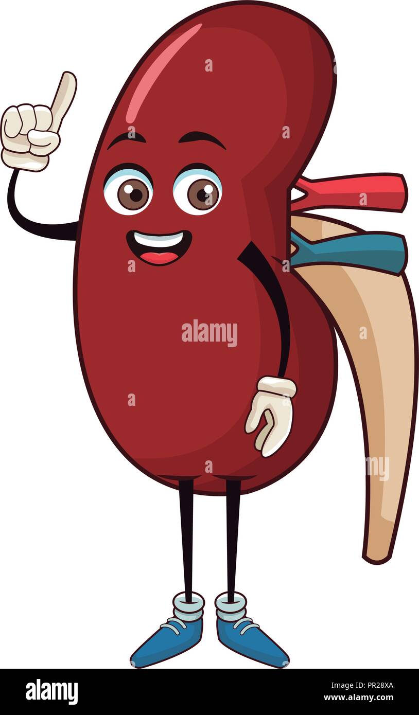 Kidney funny cartoon Stock Vector Image & Art - Alamy