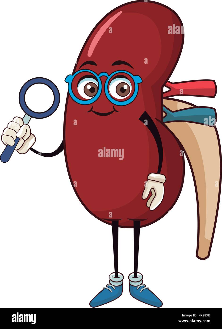 Kidney funny cartoon Stock Vector Image & Art - Alamy