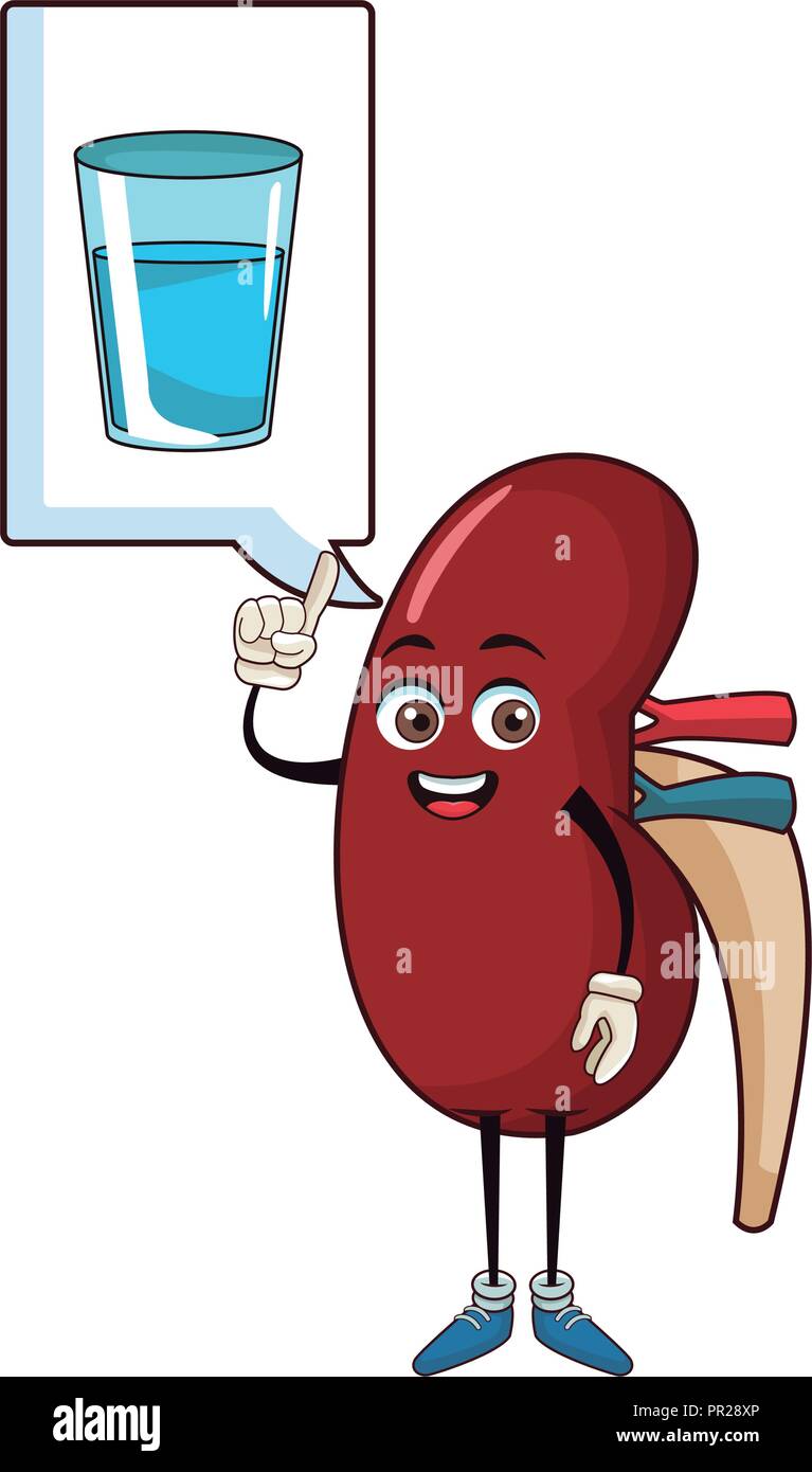 Kidney funny cartoon Stock Vector Image & Art - Alamy