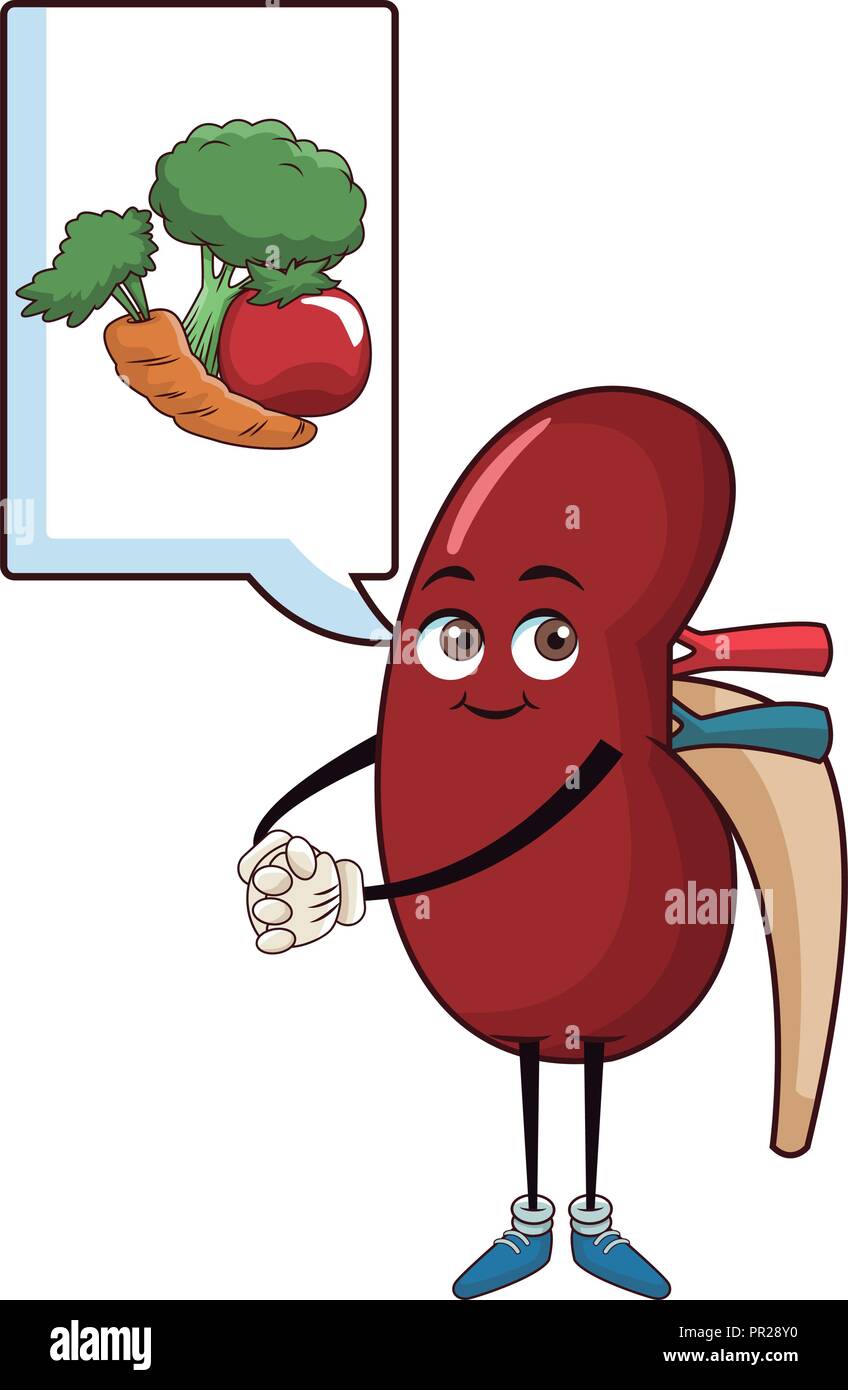 Kidney funny cartoon Stock Vector Image & Art - Alamy
