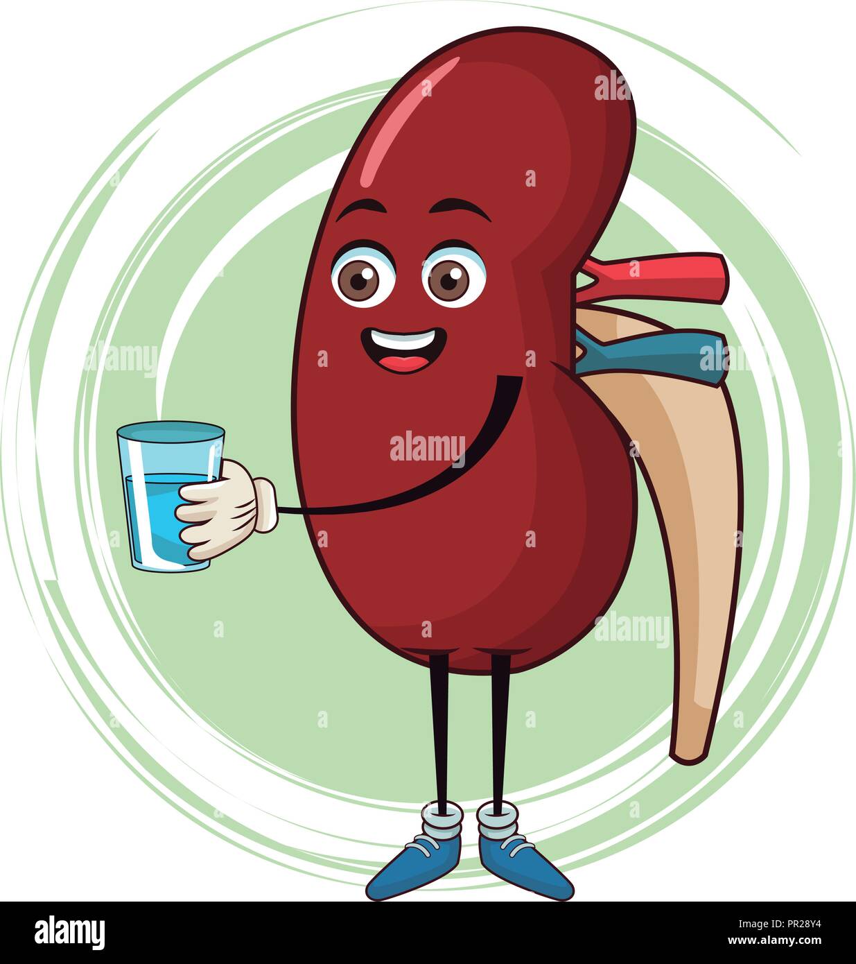 Kidney funny cartoon Stock Vector Image & Art - Alamy