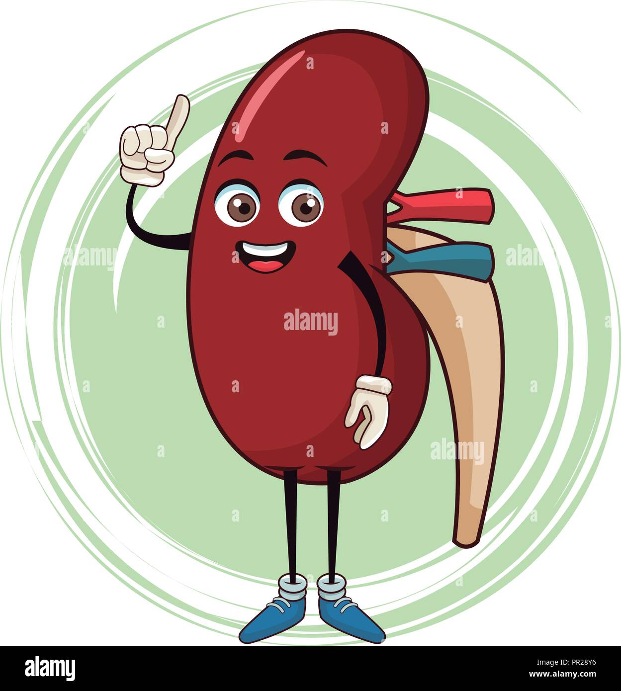 Kidney funny cartoon Stock Vector Image & Art - Alamy