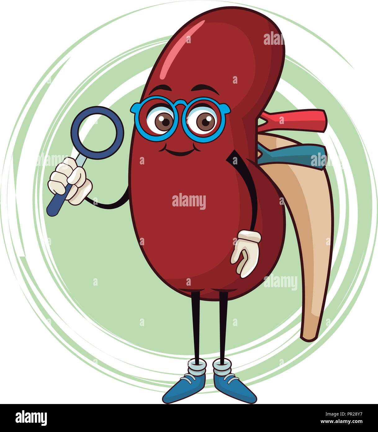 Kidney funny cartoon Stock Vector Image & Art - Alamy
