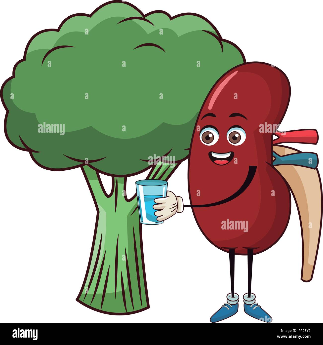 Human kidney cartoon happy hi-res stock photography and images - Alamy