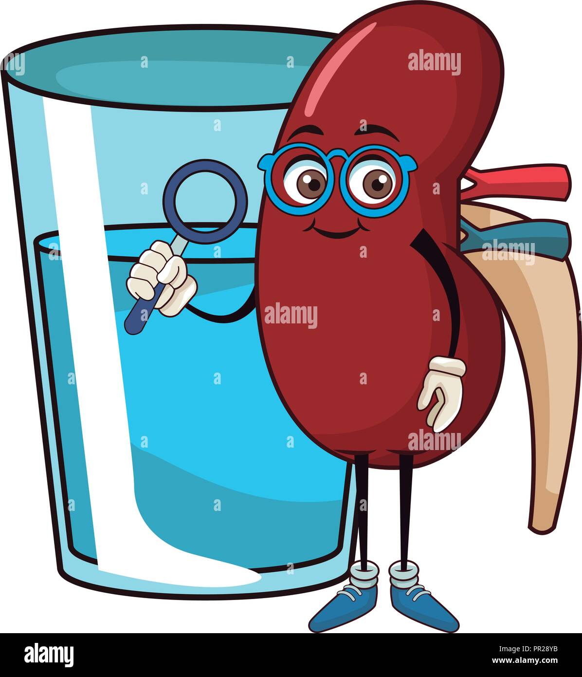 Kidney funny cartoon Stock Vector Image & Art - Alamy