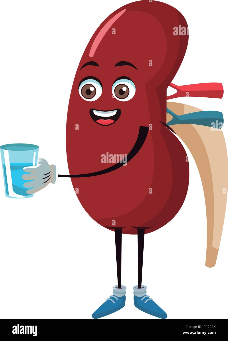 Kidney funny cartoon Stock Vector Image & Art - Alamy
