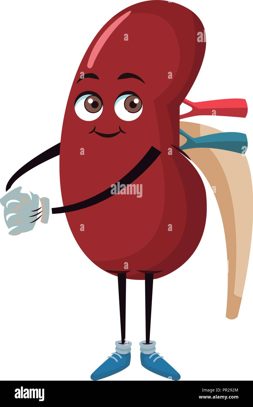 Kidney funny cartoon Stock Vector Image & Art - Alamy