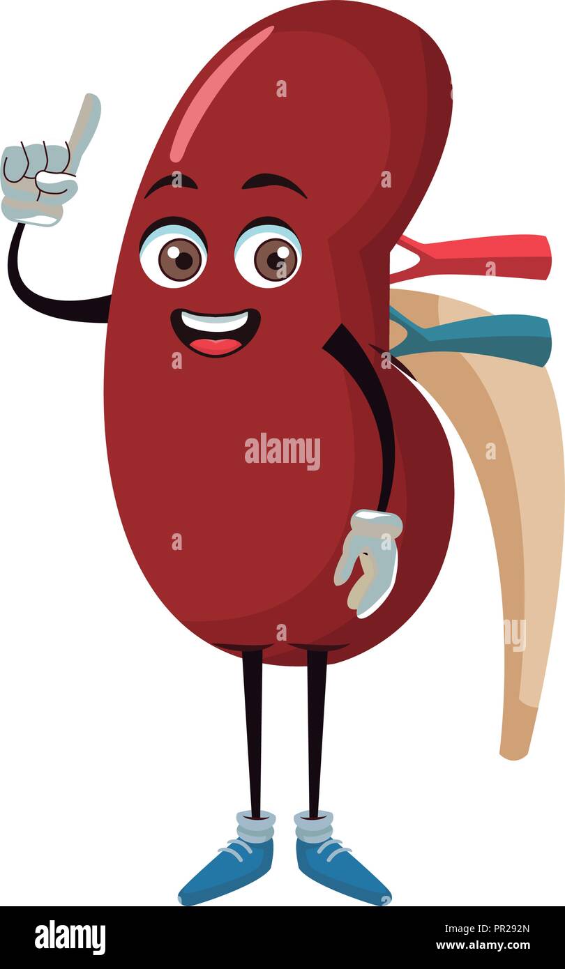 Kidney funny cartoon Stock Vector Image & Art - Alamy