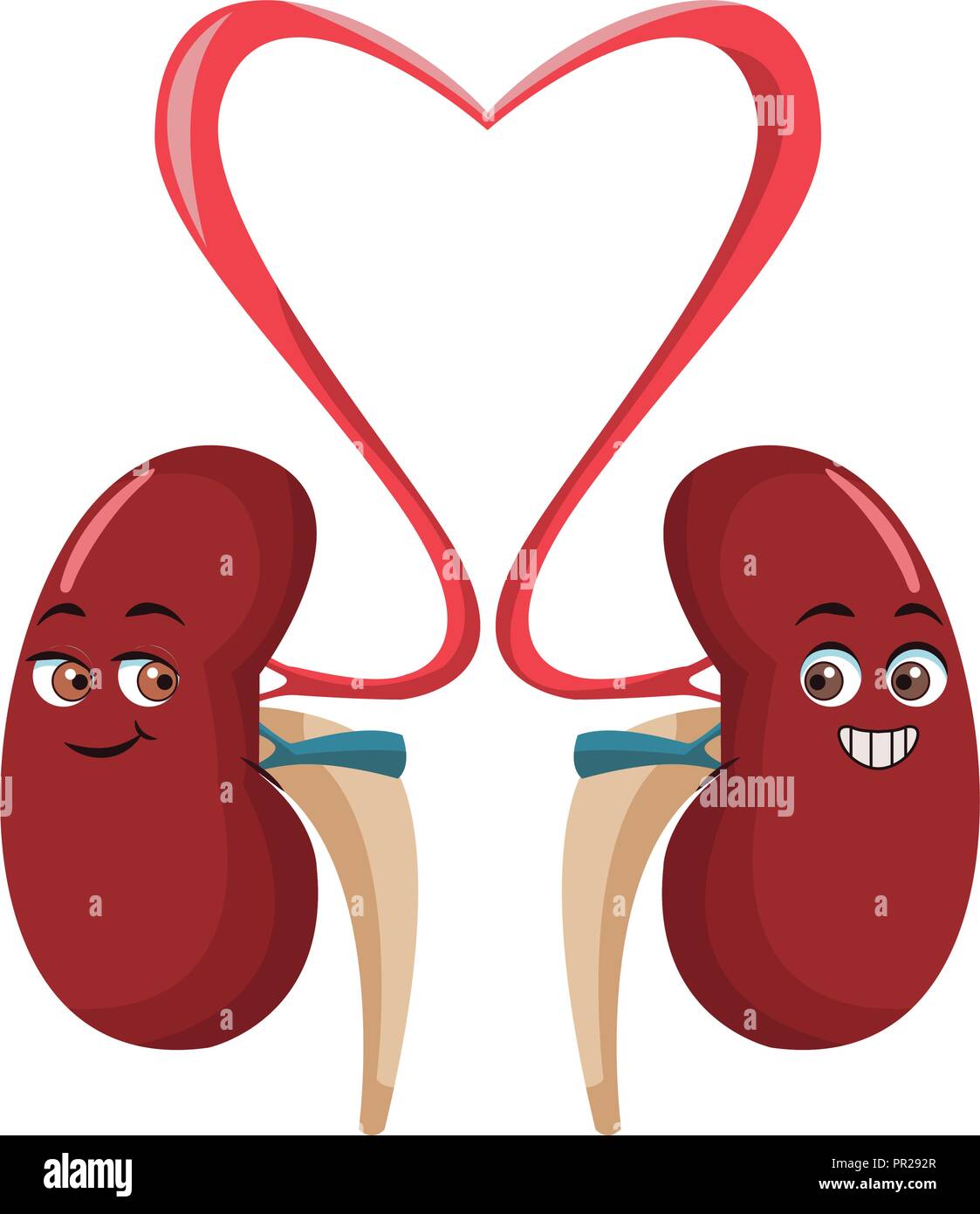 Internal human organs funny Cut Out Stock Images & Pictures - Alamy