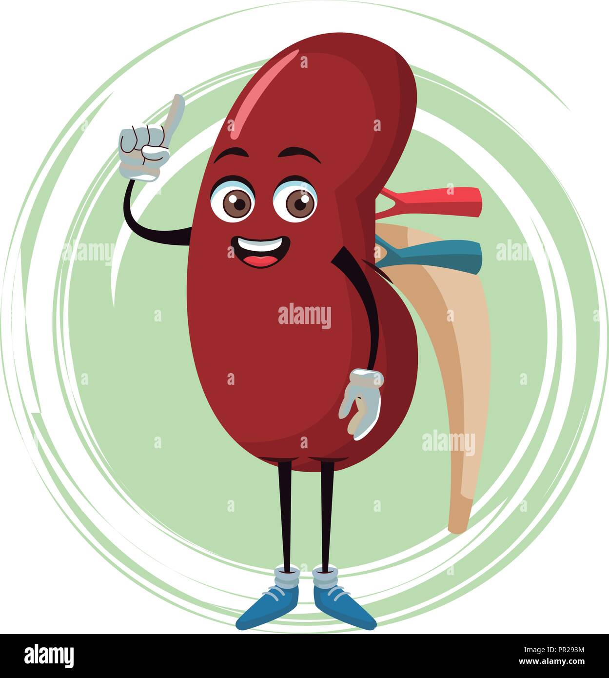 Kidney funny cartoon Stock Vector Image & Art - Alamy