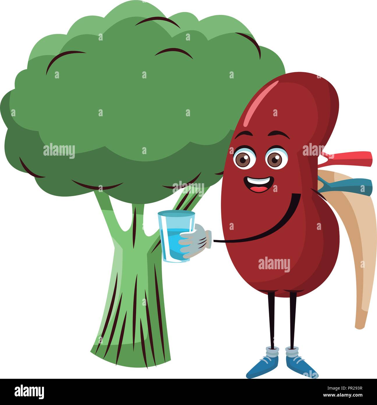 Kidney funny cartoon Stock Vector Image & Art - Alamy