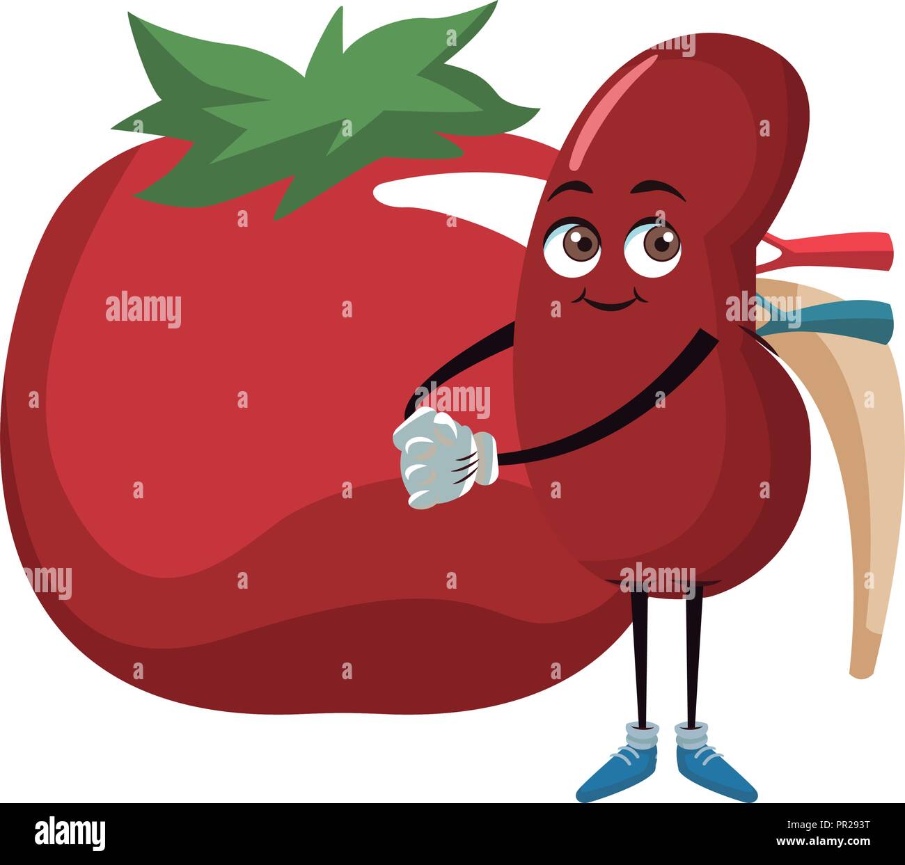 Human kidney cartoon happy hi-res stock photography and images - Alamy