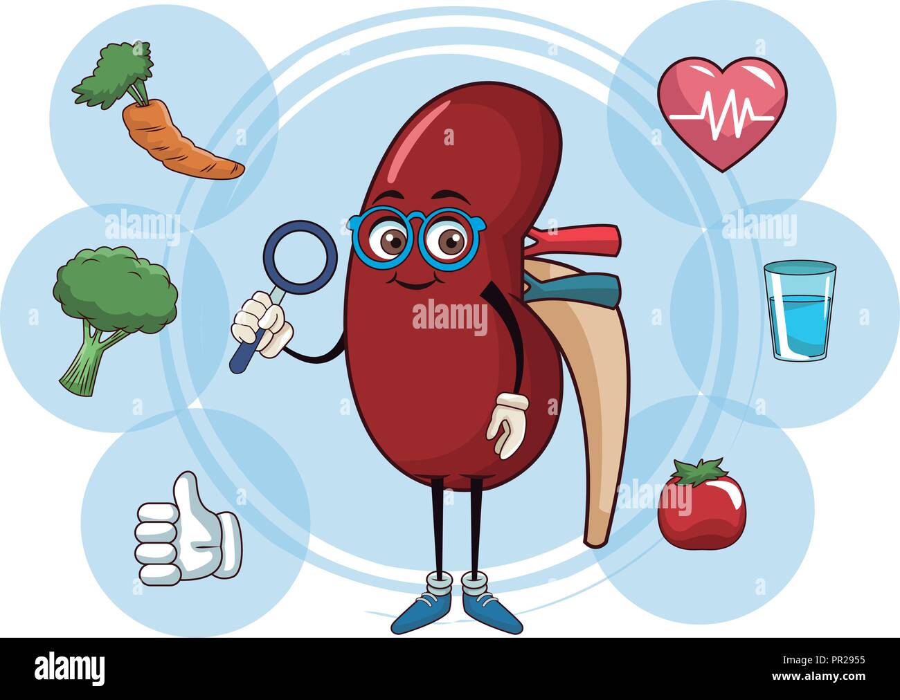 Kidney funny cartoon Stock Vector Image & Art - Alamy