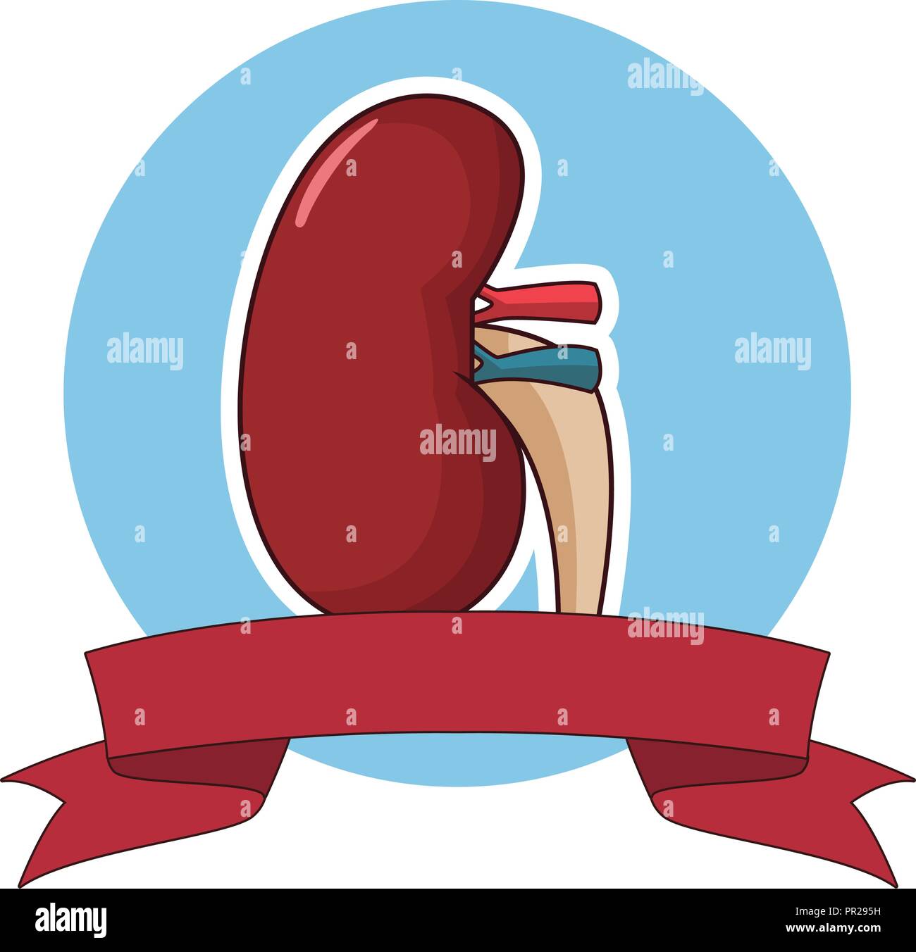 Stones in kidney Stock Vector Images - Alamy