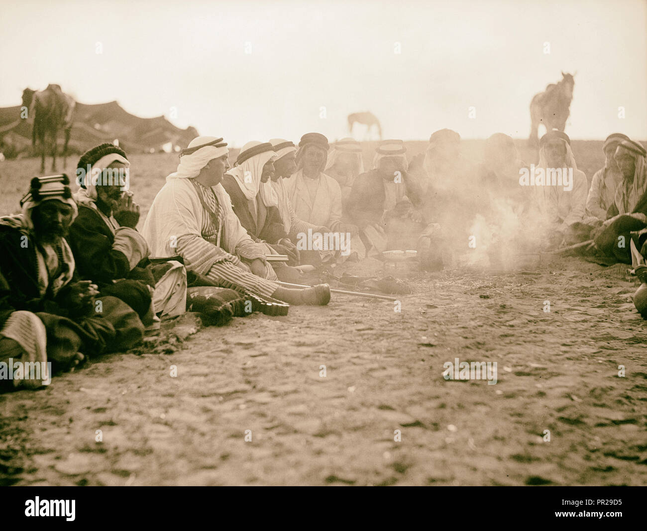 El Aref High Resolution Stock Photography and Images - Alamy