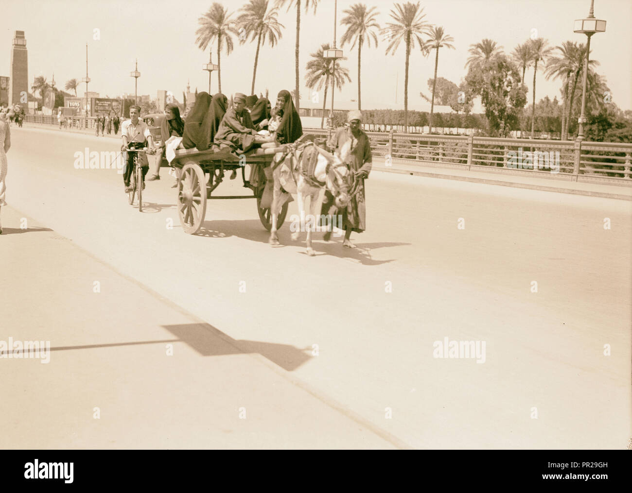Egypt. Cairo. Types & characters. Native cart carrying passengers. 1934 ...