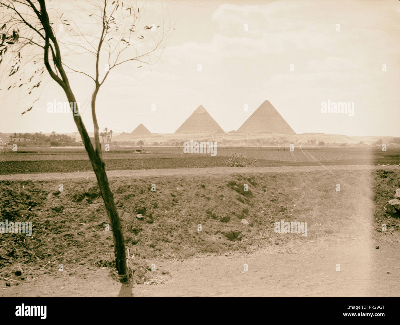 Egypt. Pyramids of Gizeh. Distant view of the three pyramids. 1934 ...