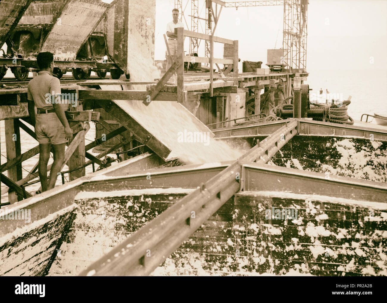 Dead Sea Album, prepared for the Palestine Potash Ltd. Close-up of ...