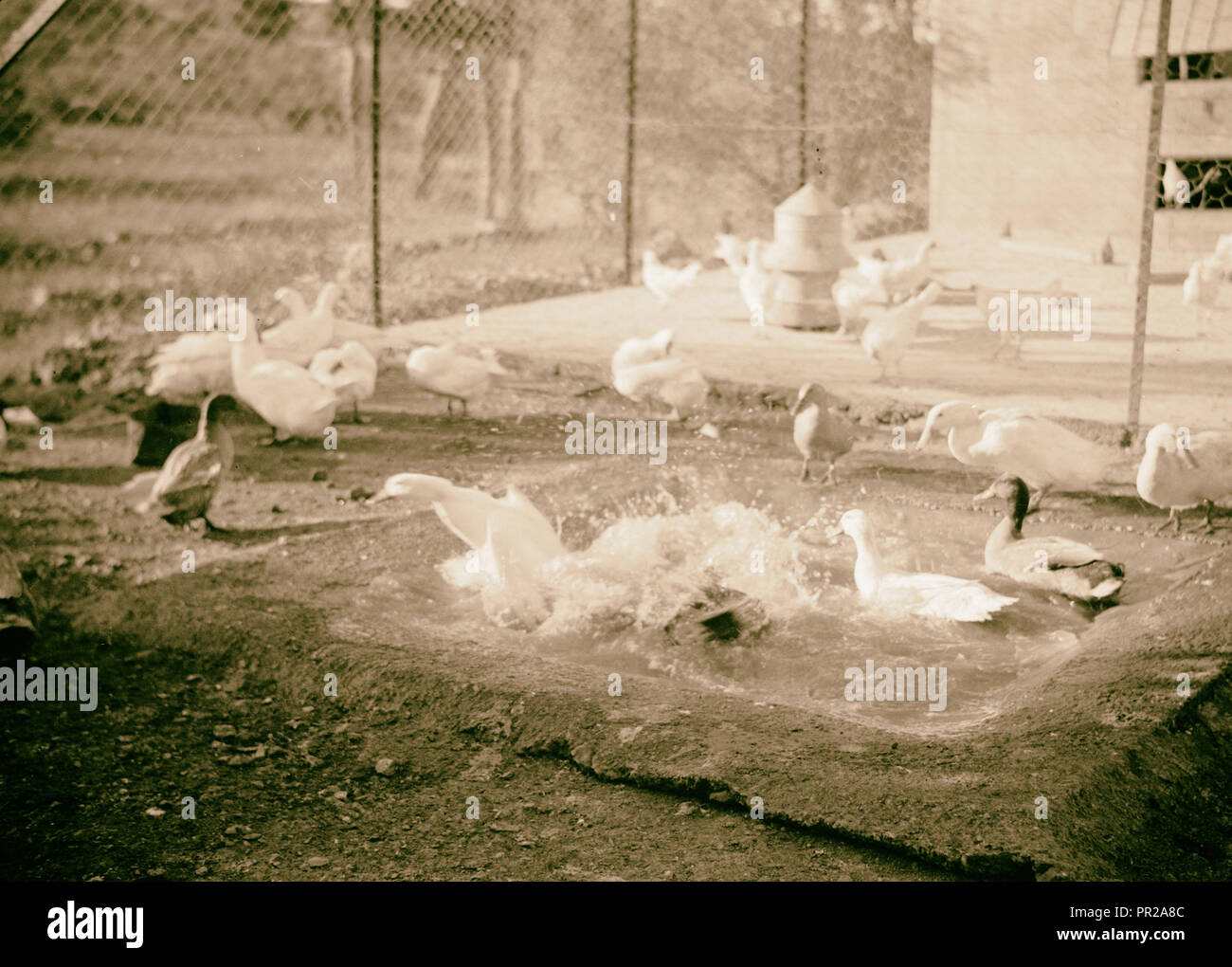 Bank pond hi-res stock photography and images - Alamy