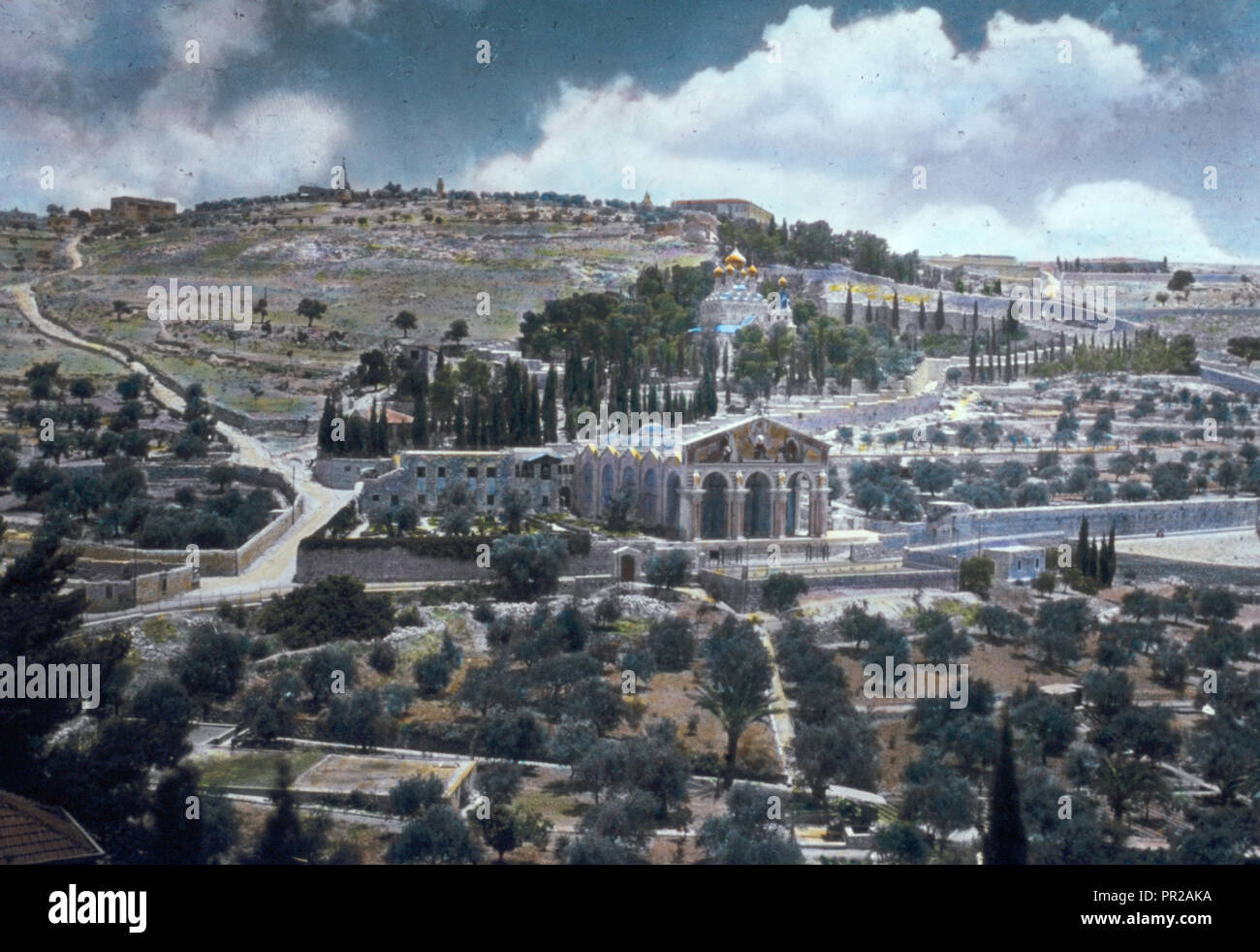 Jerusalem. Garden of Gethsemane and Mt. of Olives from city wall. Matt ...