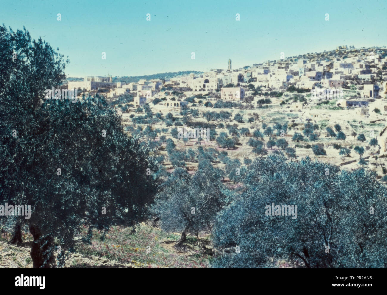 Beit-Jala, Zelzah, Home of Saul. I Sam 910. 1950, West Bank, Bethlehem ...
