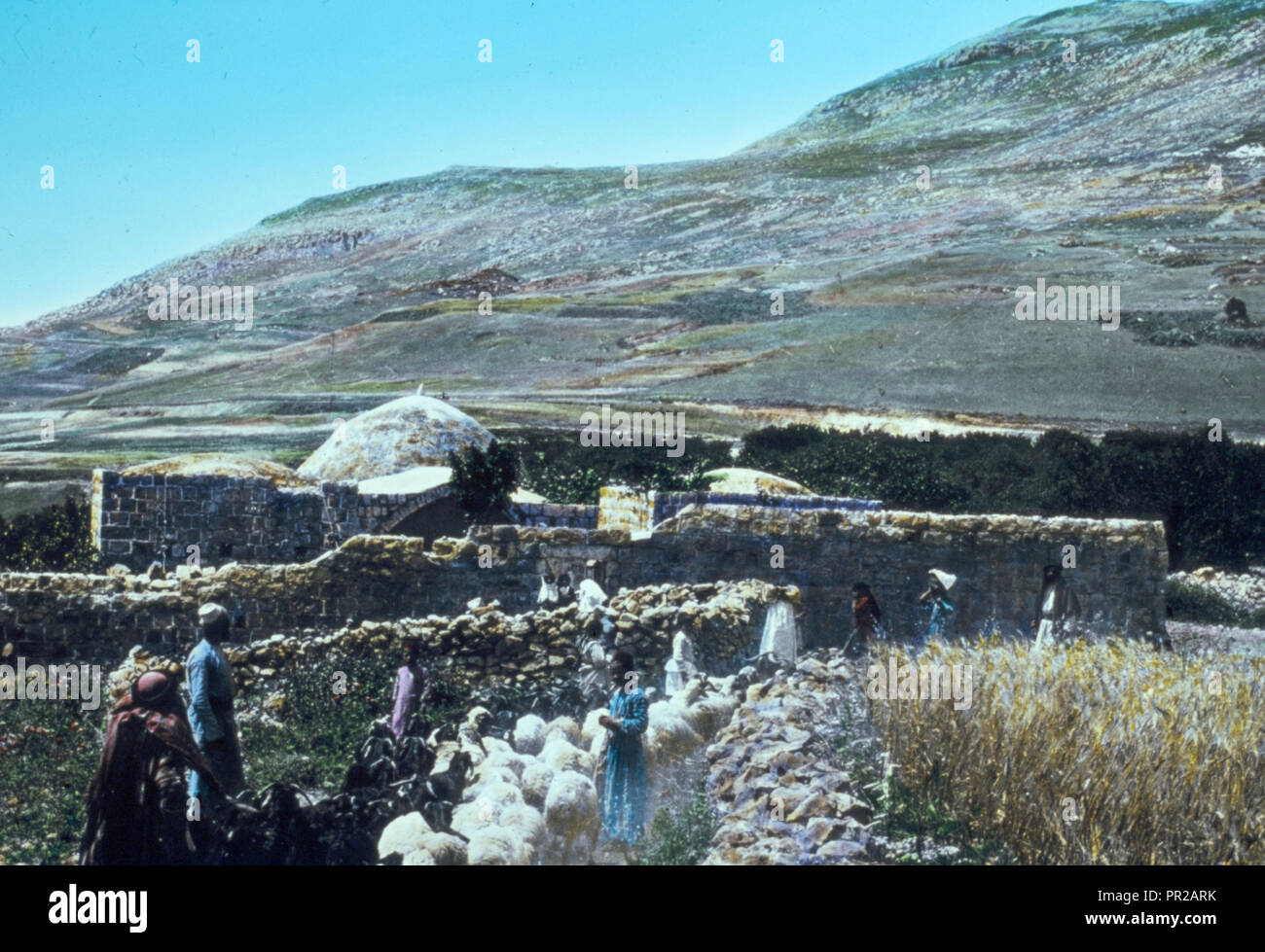 Northward from Jerusalem Joseph's Tomb. Josh 2432. 1950, West Bank ...