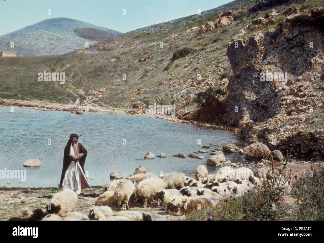 Judges spring hi-res stock photography and images - Alamy