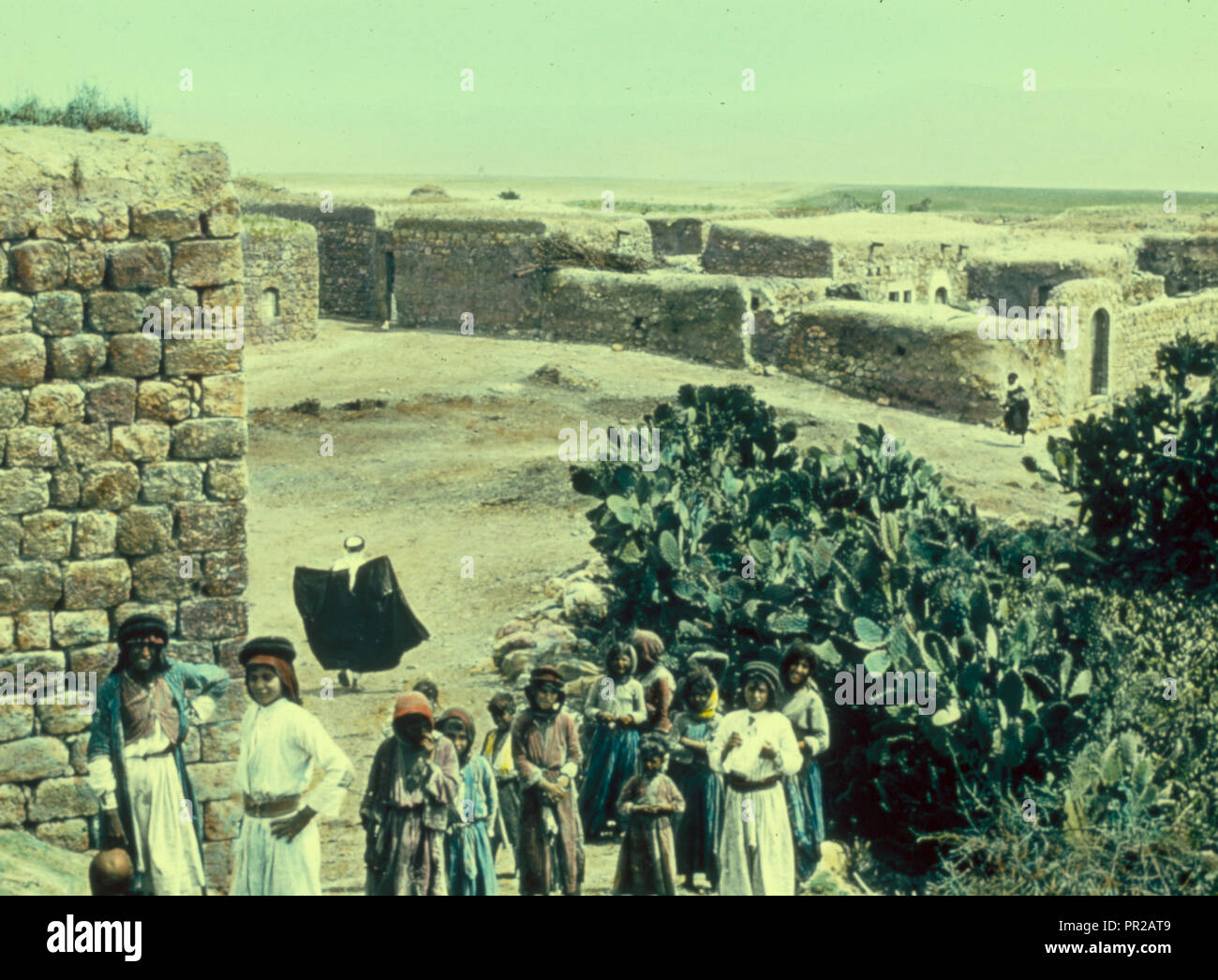 Shunem hi-res stock photography and images - Alamy