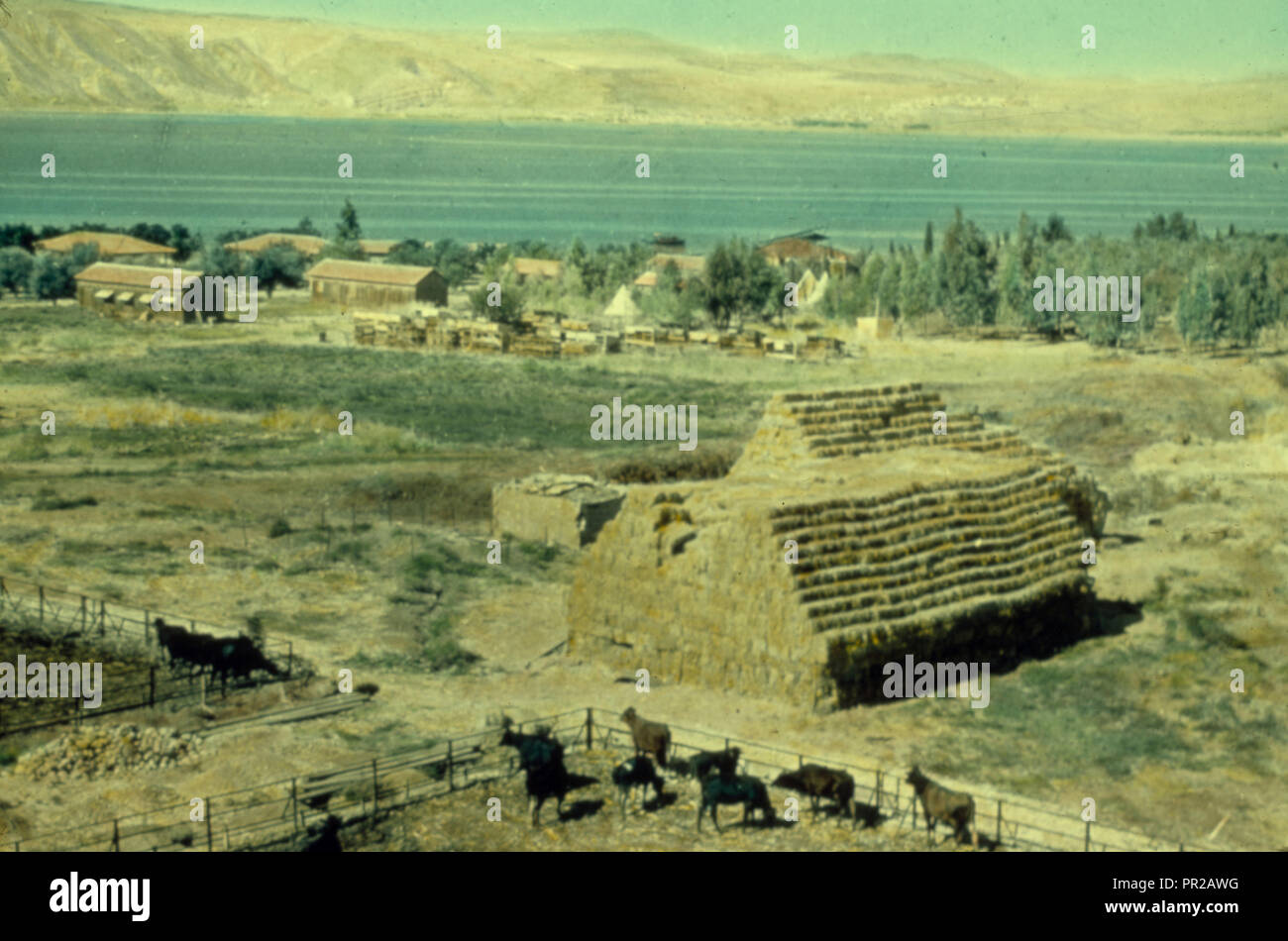 Around the Sea of Galilee. Ain Geb, near ancient Gadara. 1950, Israel ...