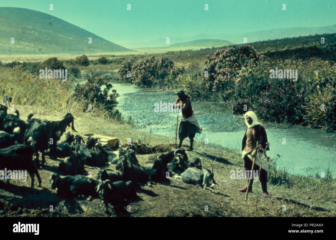 The river kishon hi-res stock photography and images - Alamy
