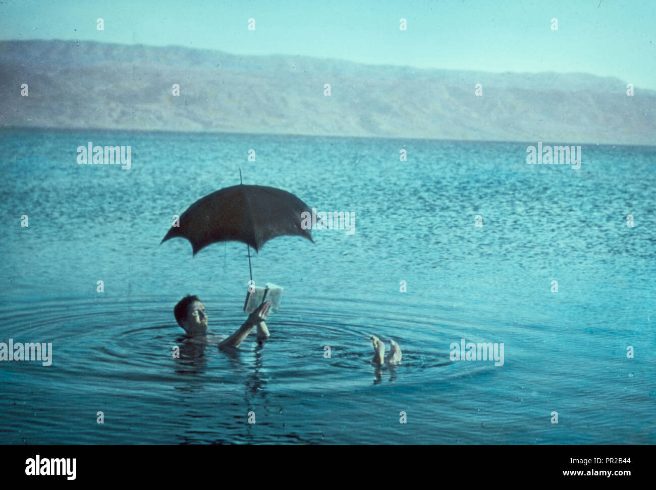 Dead Sea. Man with book and sunshade floating to show buoyancy 1950 ...