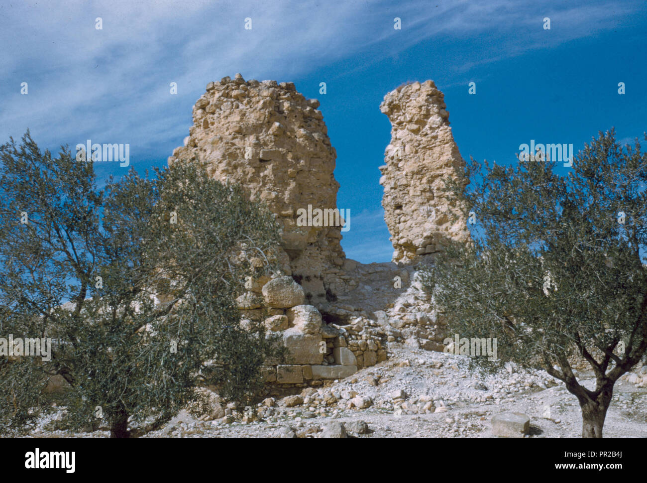Simon the leper hi-res stock photography and images - Alamy